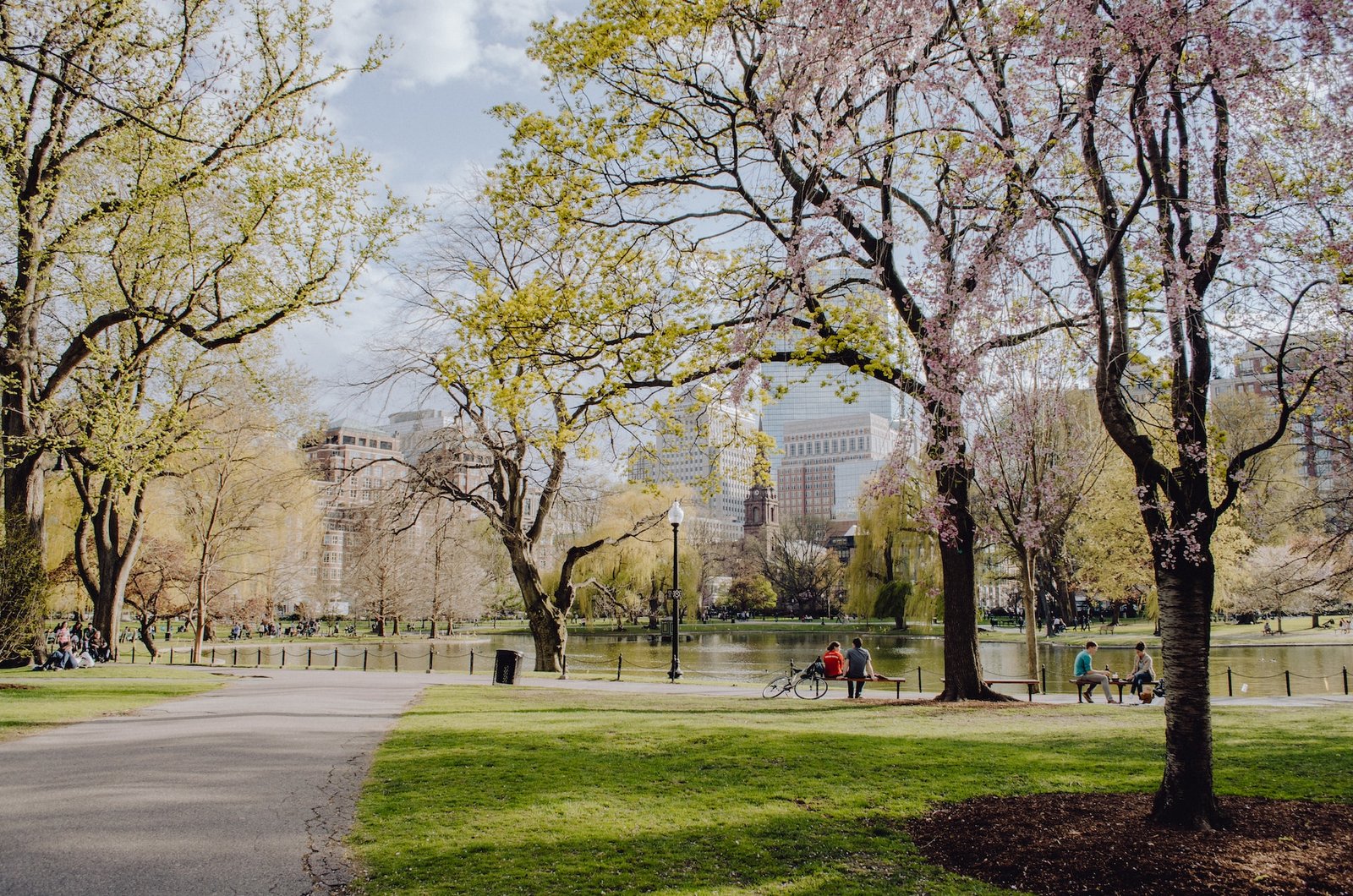 Visiting New York's Central Park - times-square