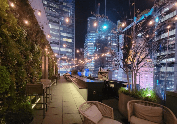 Rooftop Bars - times-square